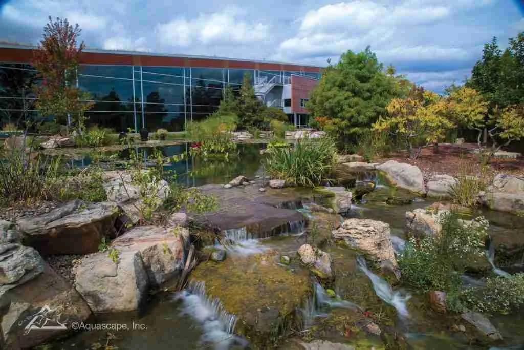 Pond Maintenance Service: What the Pros Handle