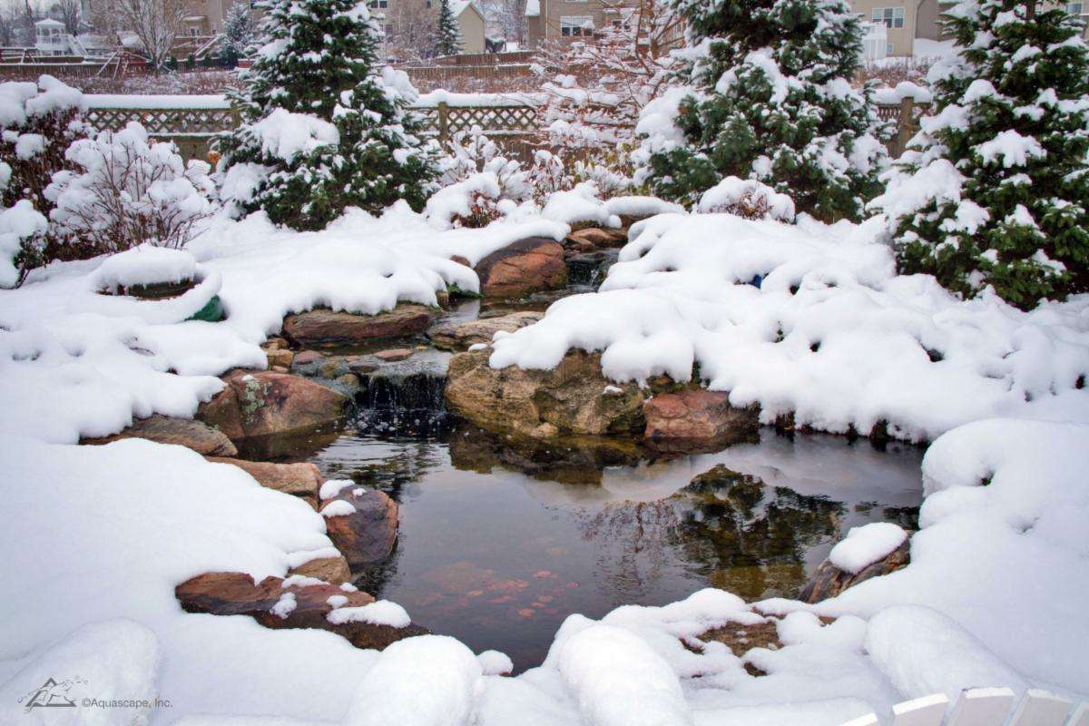 Winter Pond Maintenance Tips | Seasonal Ponds Supplies