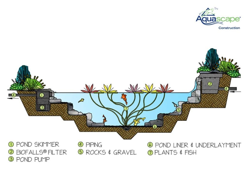 DIY Koi Pond Kit | How to Build an Ecosystem Pond