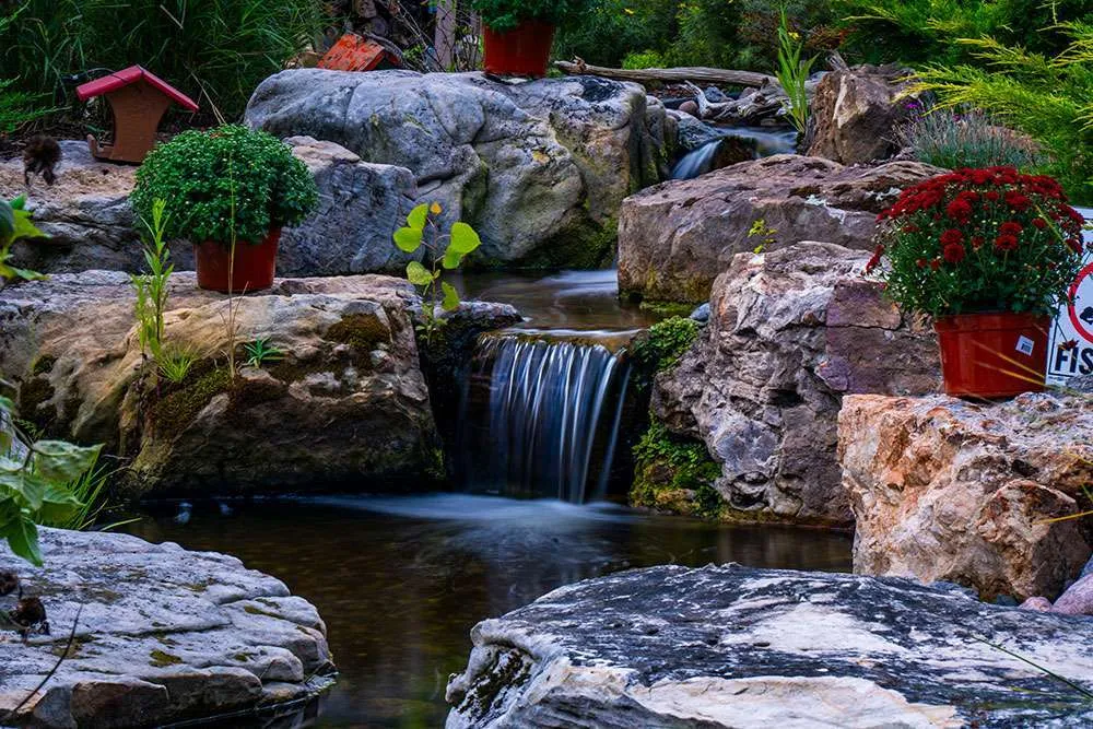 River Plants Waterfall Waterfalls In Landscaping: Guide To Design The