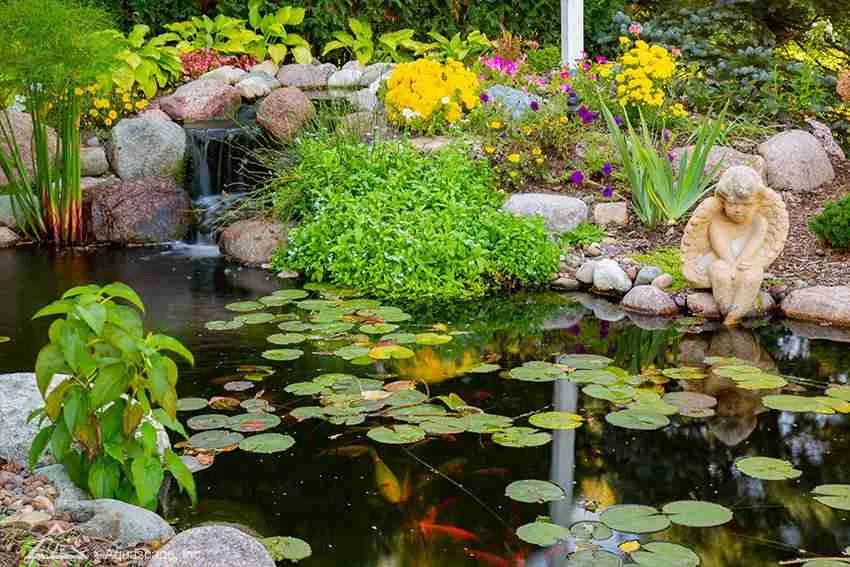 Aquascape Online Store | Water Features and Pond Supplies