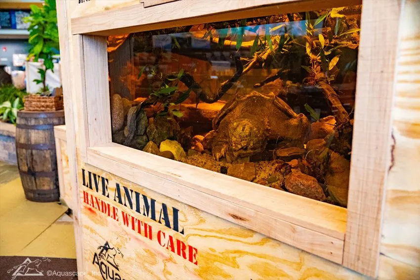 Turtletopia | Turtle Exhibit and Pond Store | Aqualand